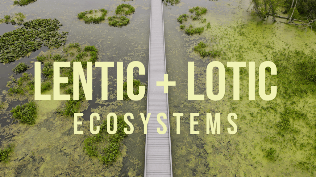 Lentic and Lotic Systems - Healthy Headwaters Lab