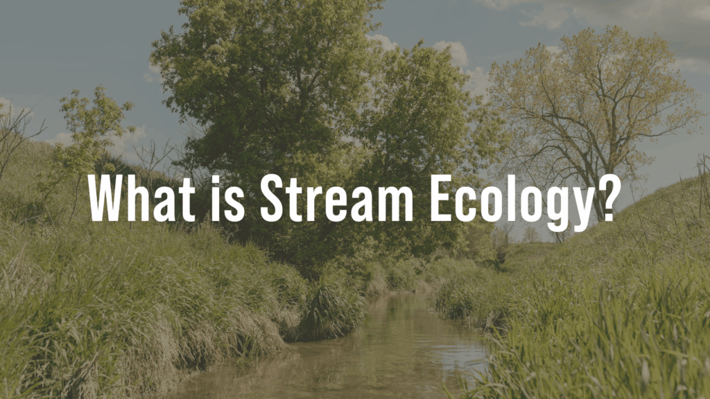 What is Stream Ecology? - Healthy Headwaters Lab